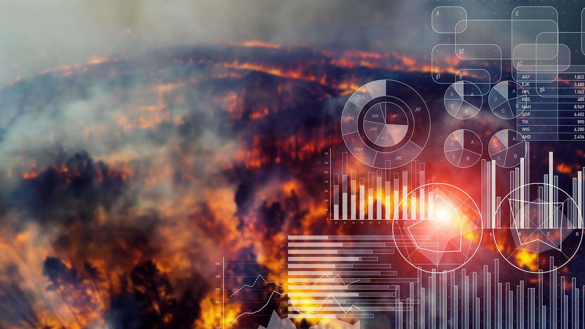 FIS | Treasury Management International